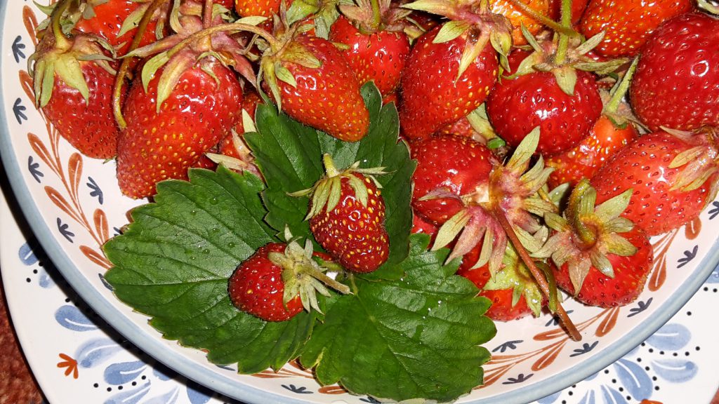 Le Temps Des Fraises ... - Le Tonneau Verre